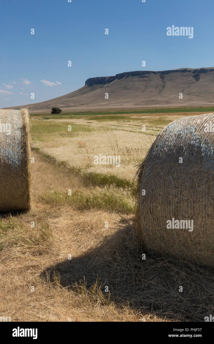 Square Butte is an iconic landmark in Montana, USA Stock Photo - Alamy