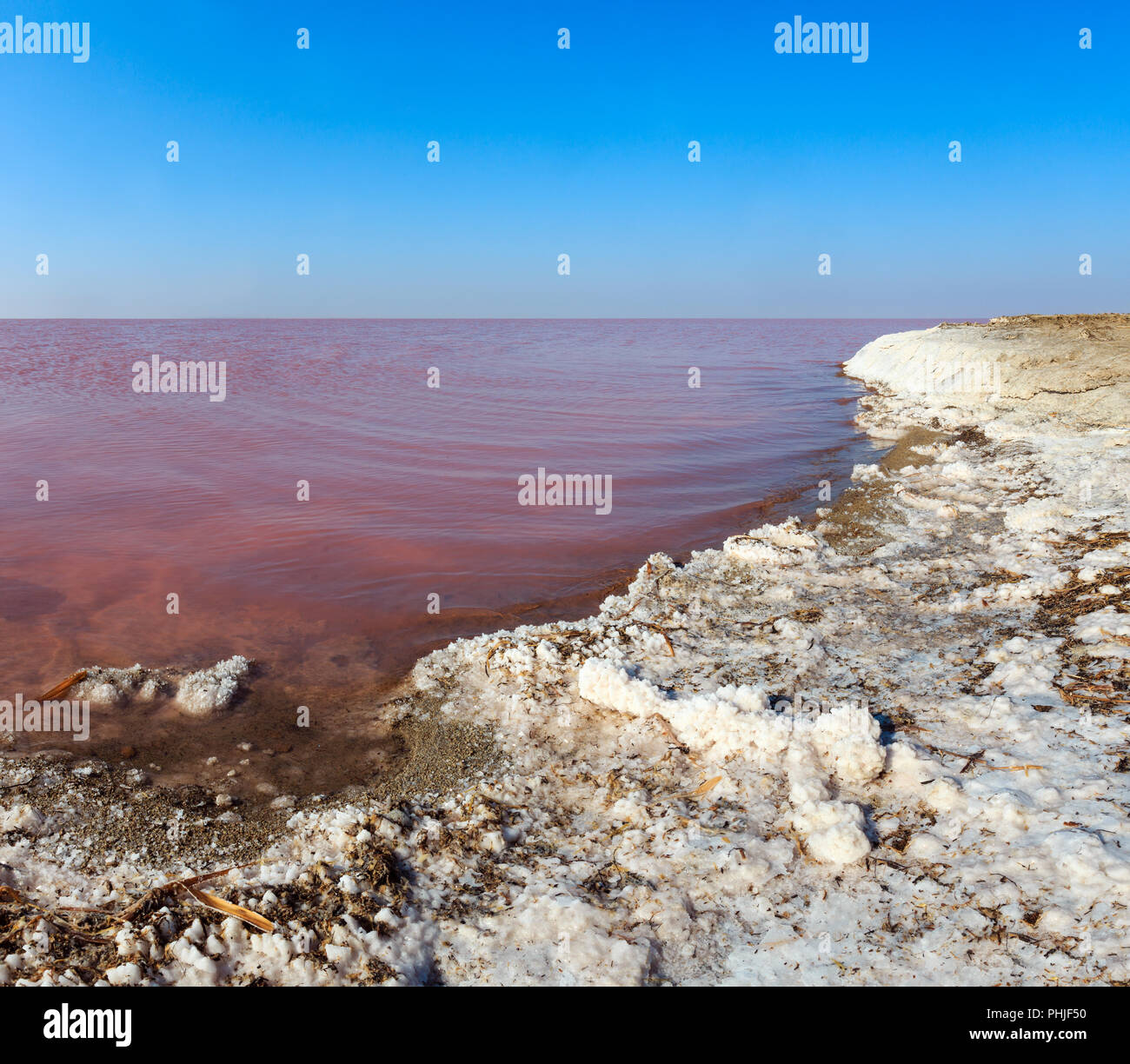 Pink salty Syvash Lake, Ukraine Stock Photo - Alamy