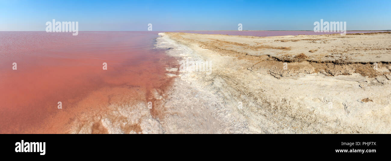 Pink salty Syvash Lake, Ukraine Stock Photo - Alamy