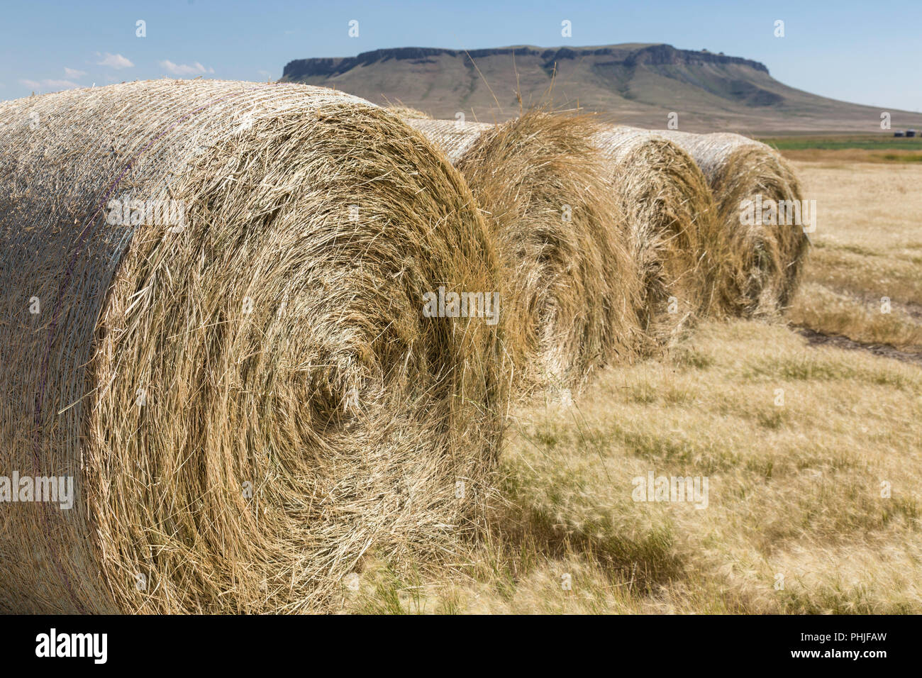 Square Butte is an iconic landmark in Montana, USA Stock Photo - Alamy