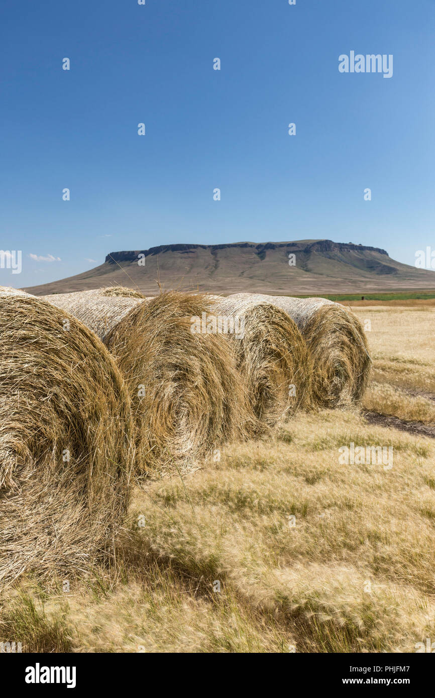 Square Butte is an iconic landmark in Montana, USA Stock Photo - Alamy