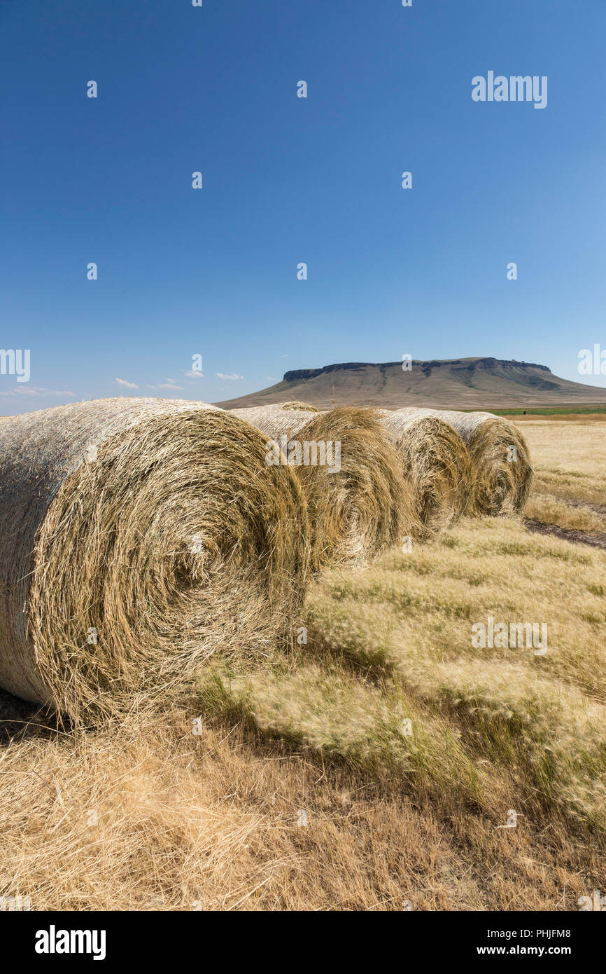 Square Butte is an iconic landmark in Montana, USA Stock Photo - Alamy