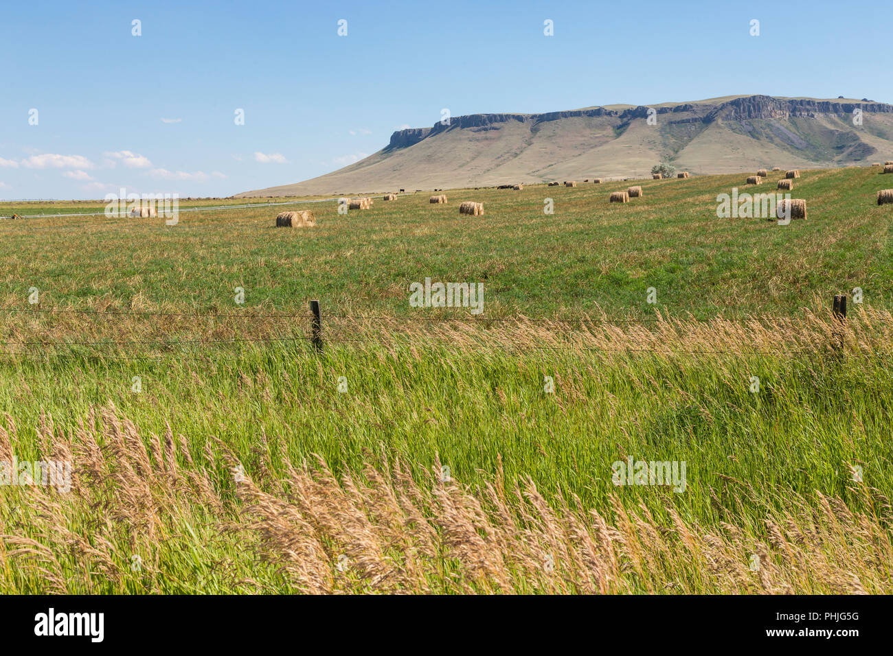 Square Butte is an iconic landmark in Montana, USA Stock Photo - Alamy