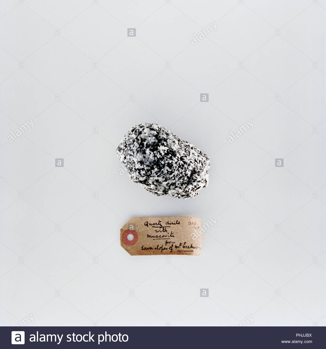 Diorite Rock Sample High Resolution Stock Photography and Images - Alamy