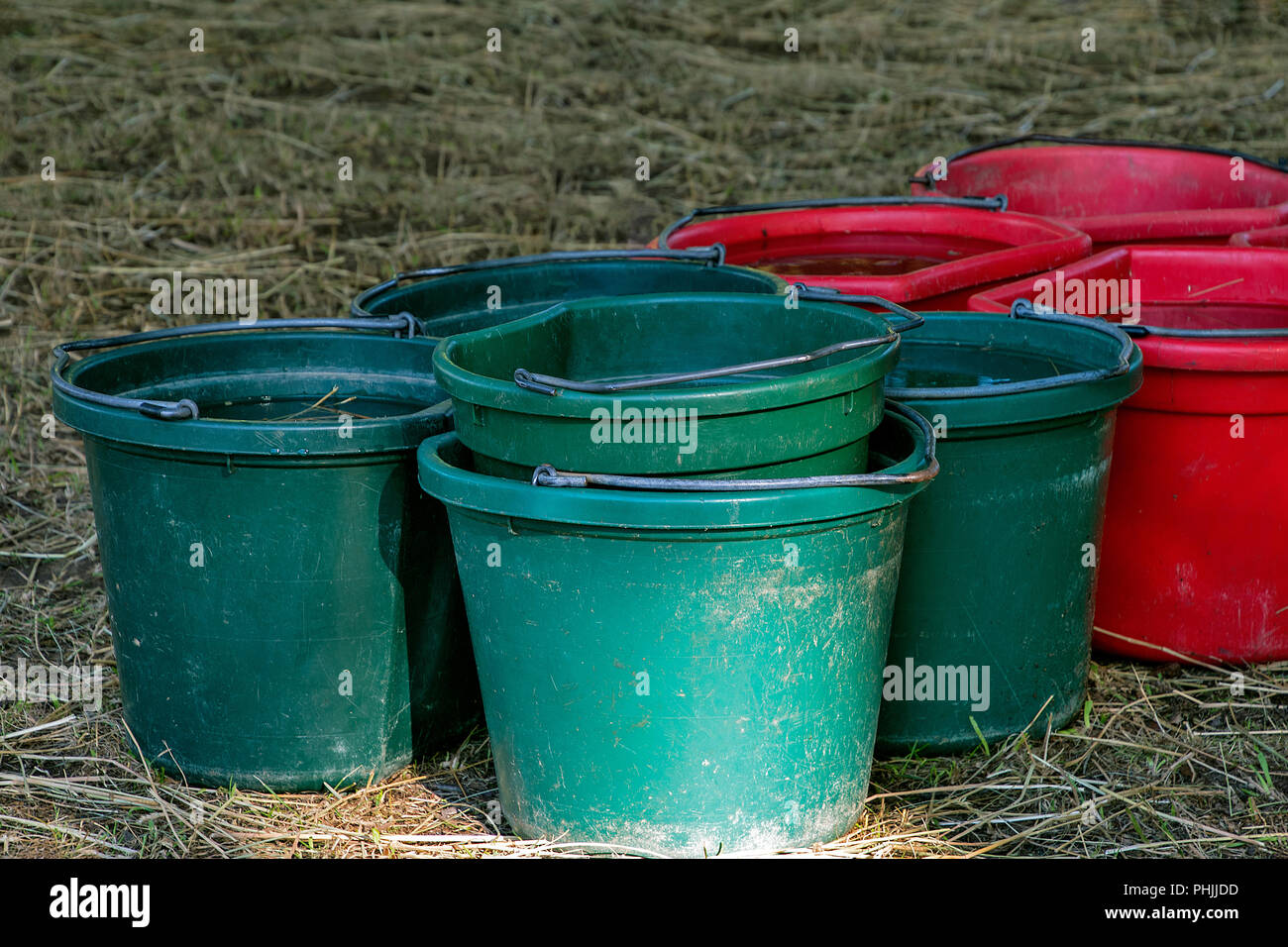 red and green buckets of water on straw in barn Stock Photo - Alamy