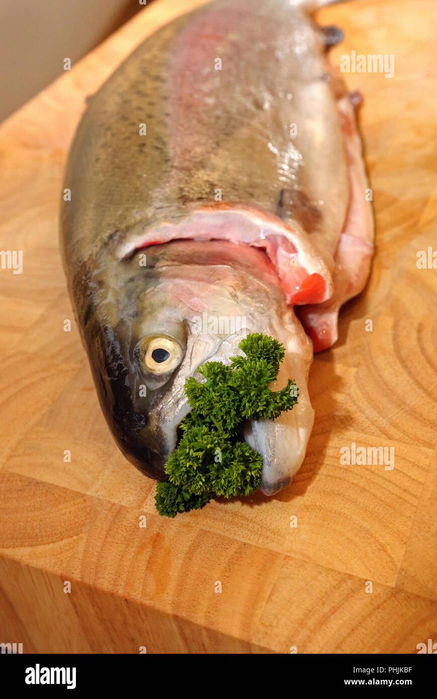 Salmon trout hi-res stock photography and images - Alamy