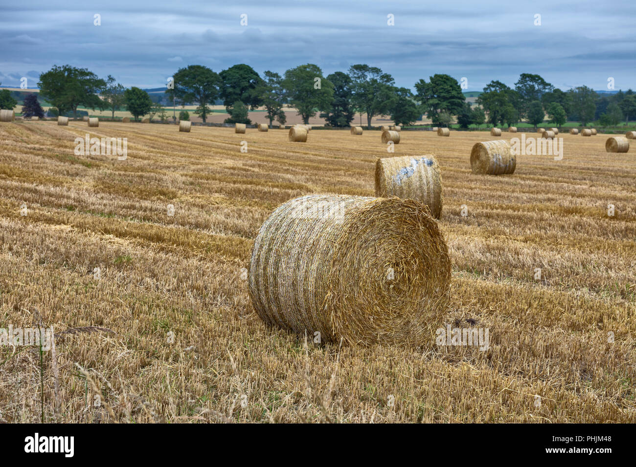Aberlemno, Angus, Scotland, UK Stock Photo - Alamy