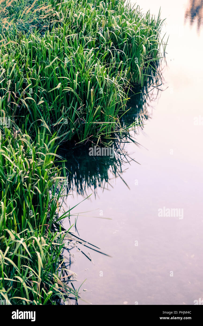 Bank riverbank hi-res stock photography and images - Alamy