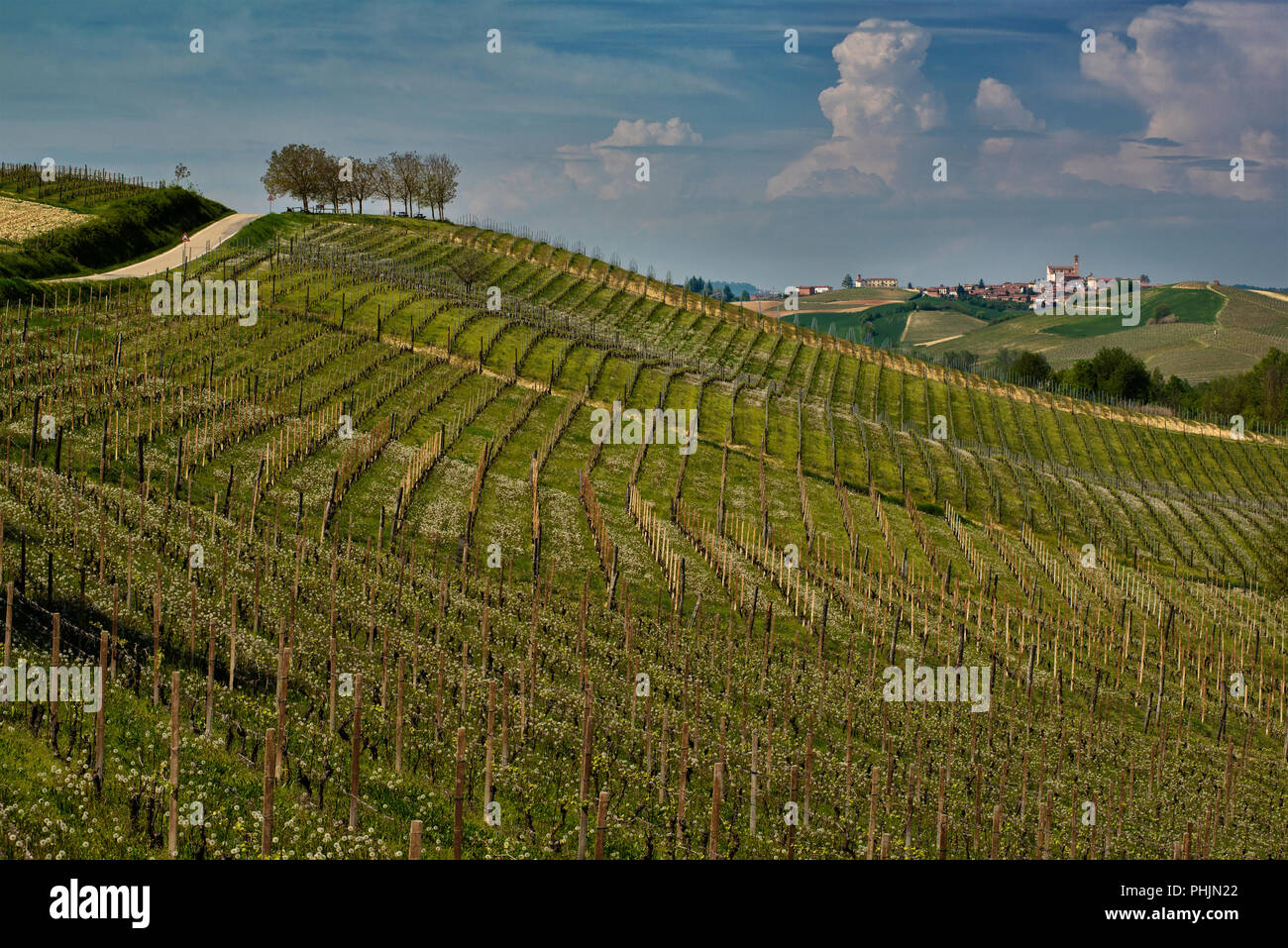 View on hills with cultivated vineyards and woods Stock Photo - Alamy