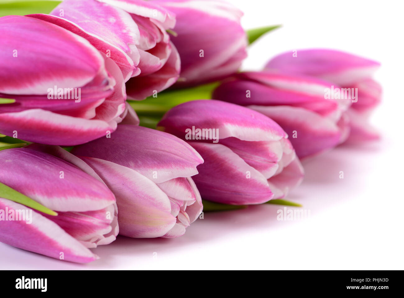 Bunch of spring tulip flowers hi-res stock photography and images - Alamy