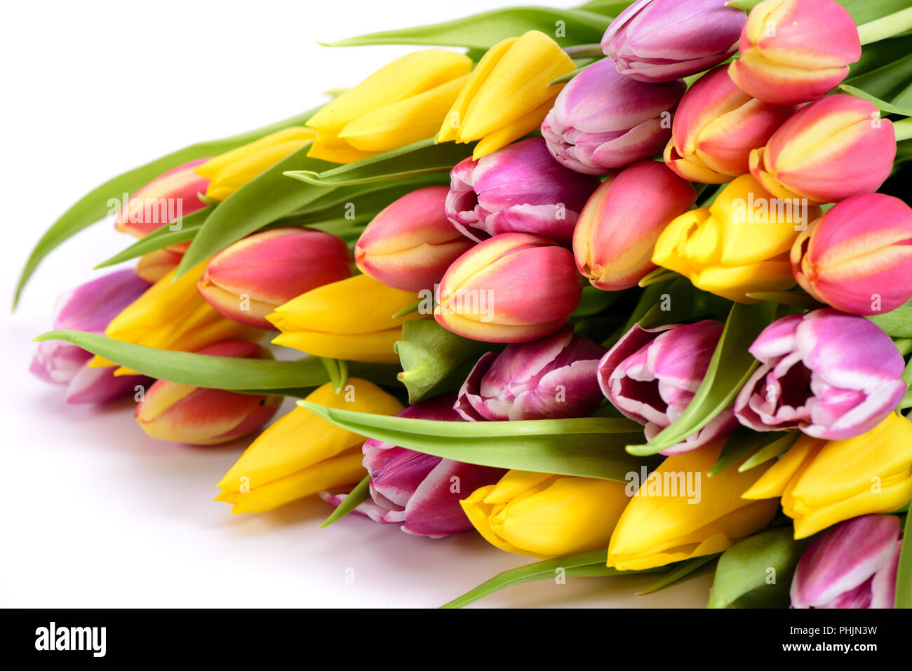 Tulip bunch hi-res stock photography and images - Alamy