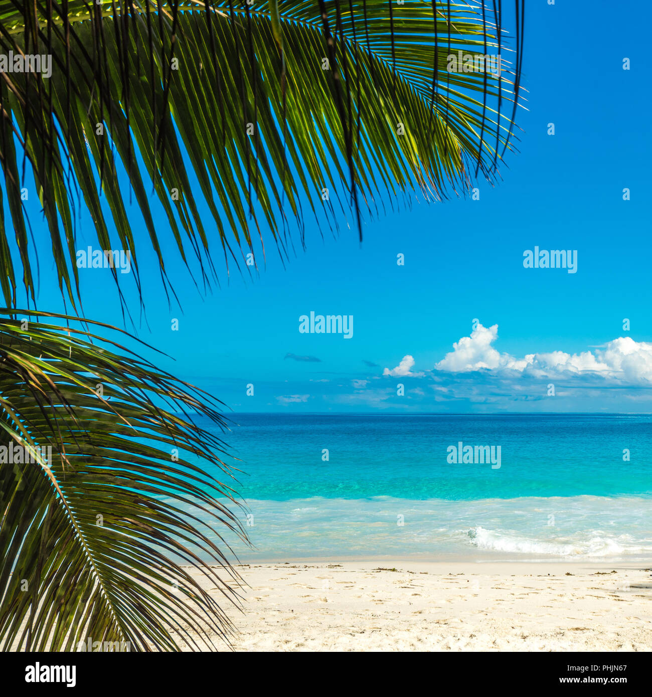 Tropical island beach. Perfect vacation background Stock Photo - Alamy