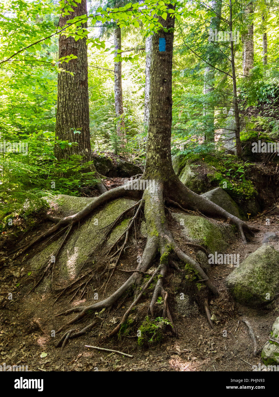 Fertile Granite High Resolution Stock Photography and Images - Alamy
