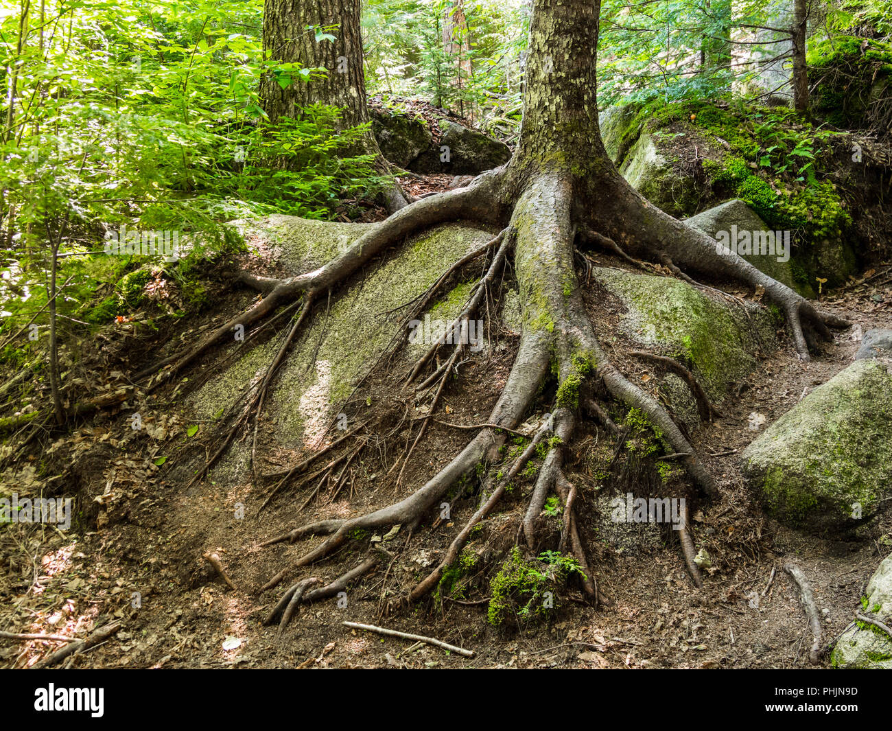 Boudler High Resolution Stock Photography and Images - Alamy