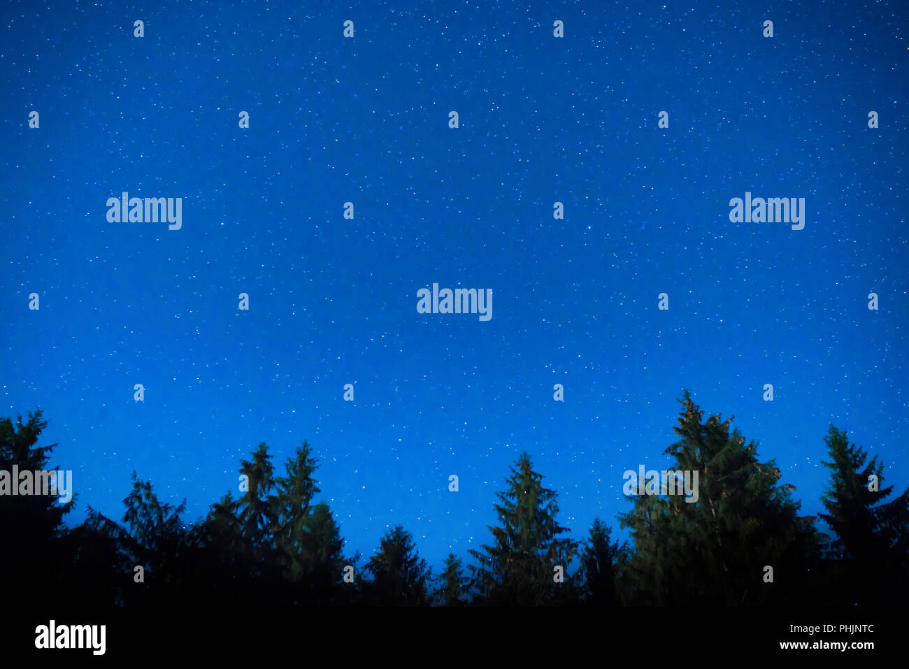 Night sky with trees hi-res stock photography and images - Alamy
