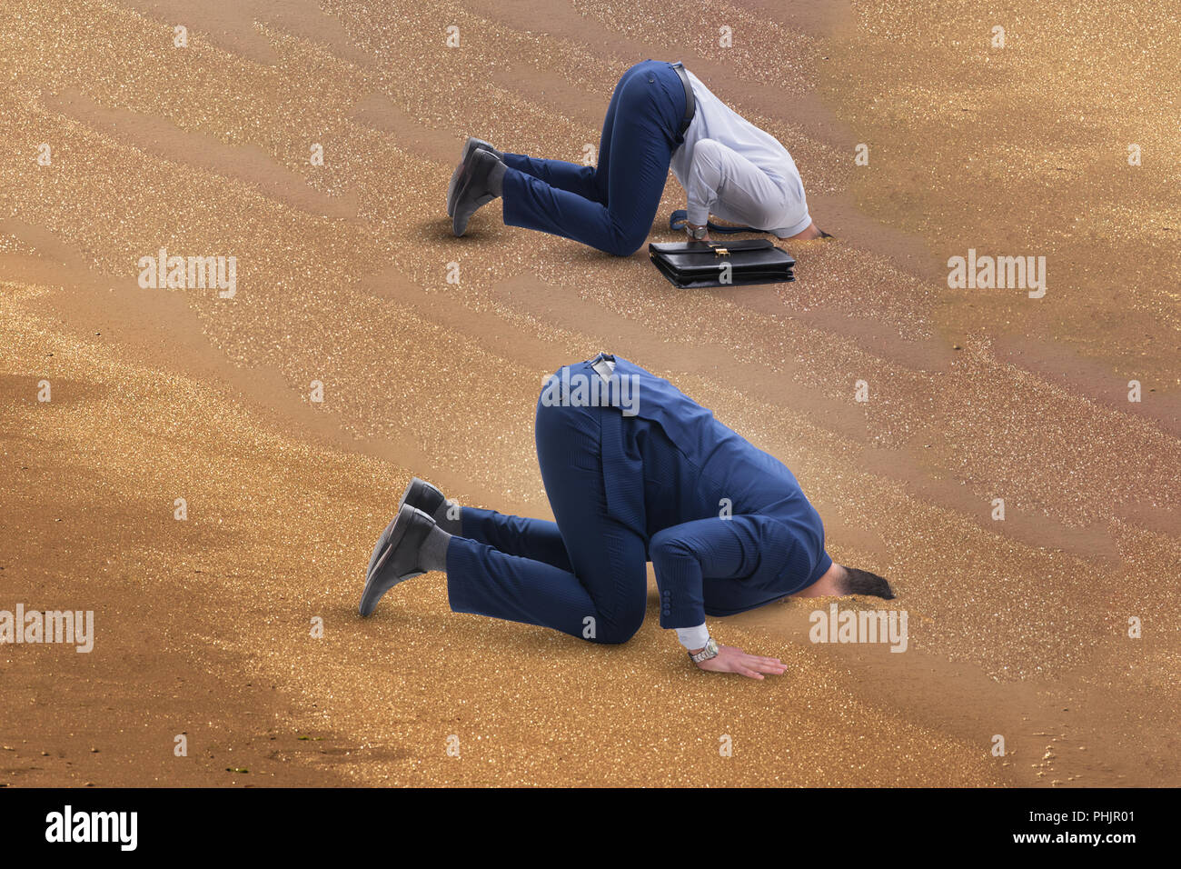 Ostrich hiding head in sand hi-res stock photography and images - Alamy