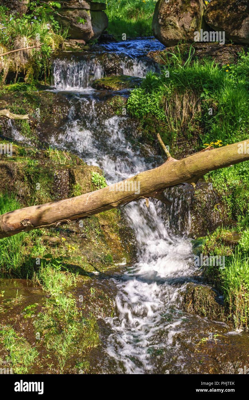 Stream with water and a tree log Stock Photo - Alamy