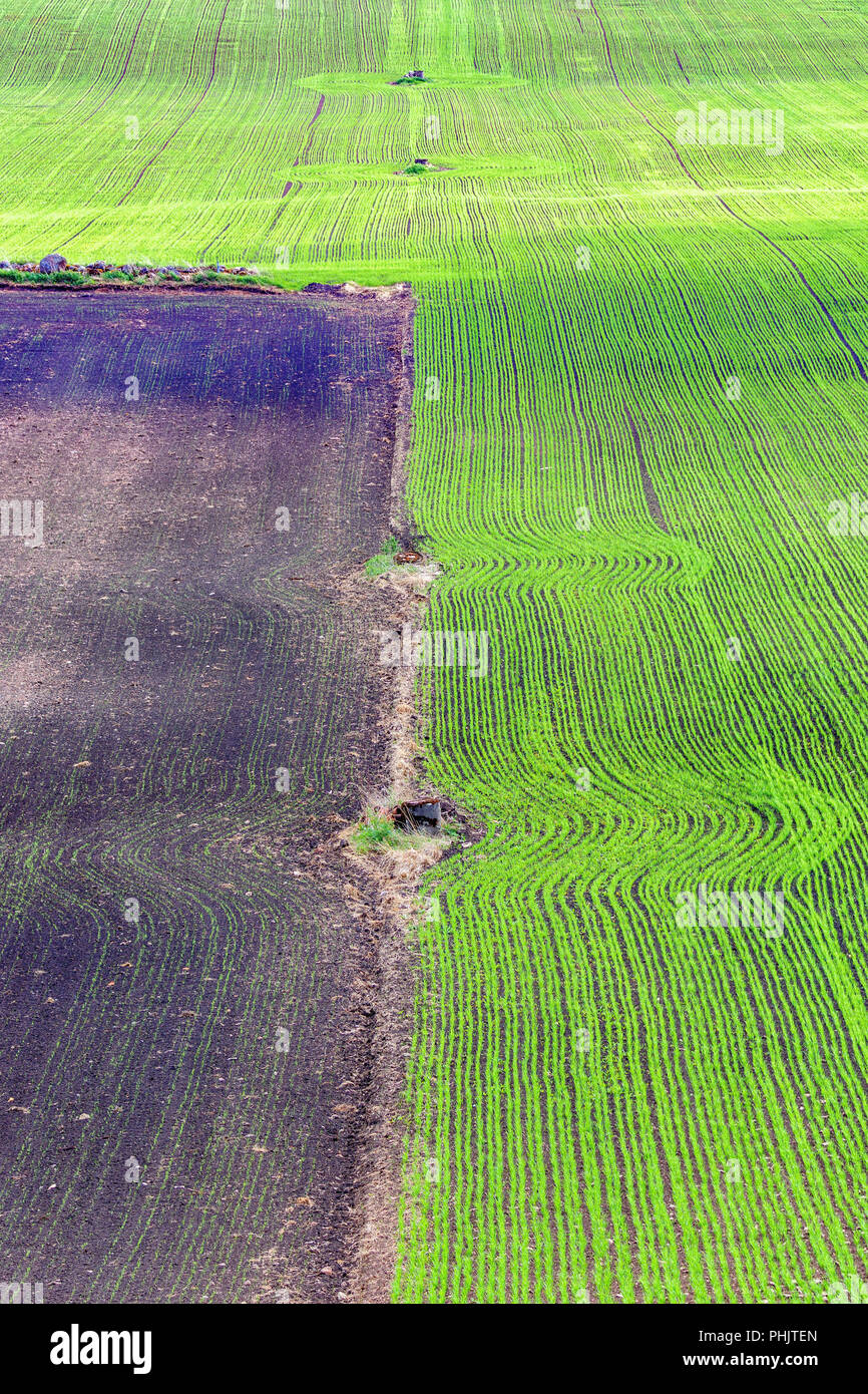Patterned soil hi-res stock photography and images - Alamy
