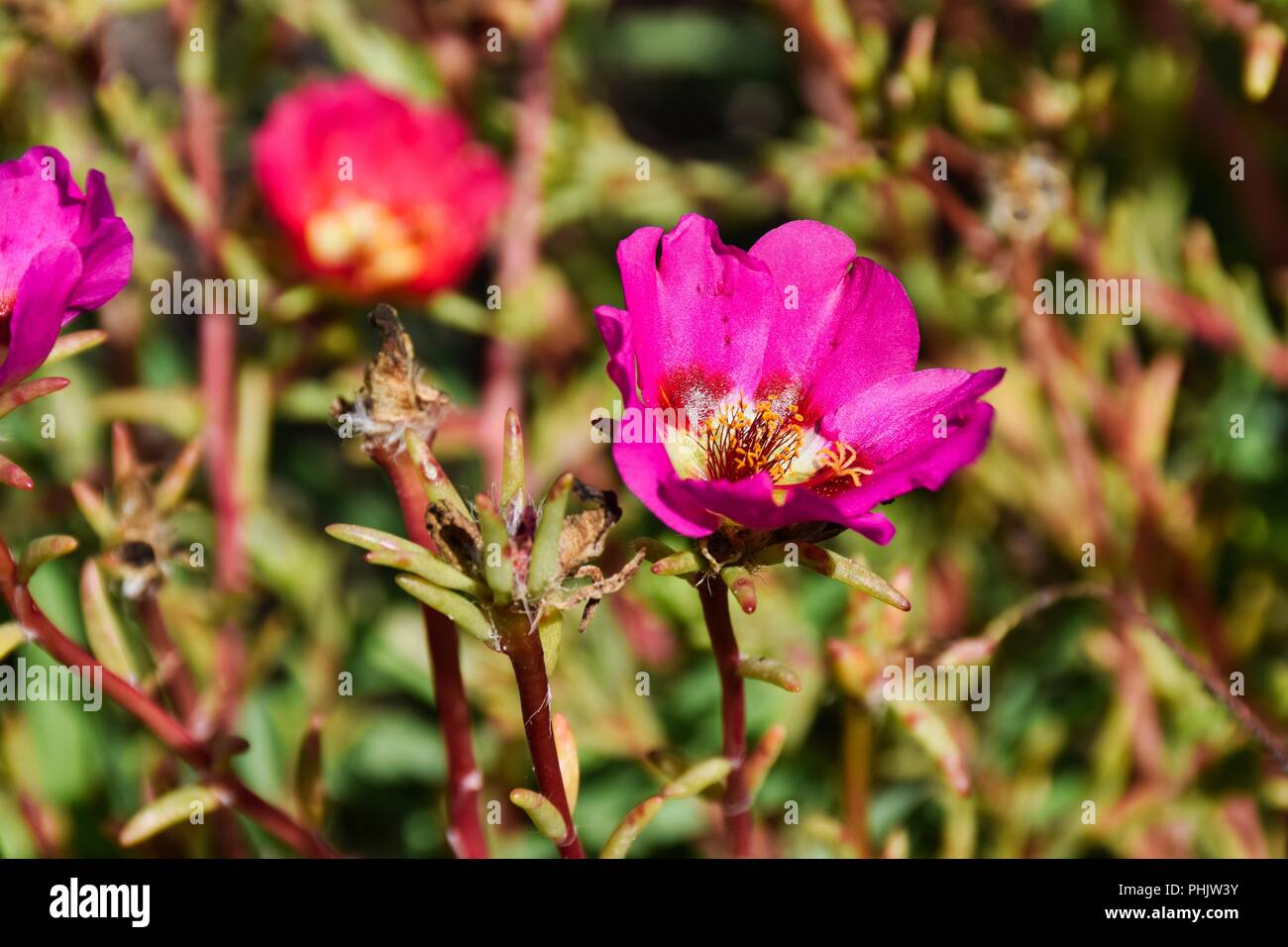Delta colors hi-res stock photography and images - Alamy