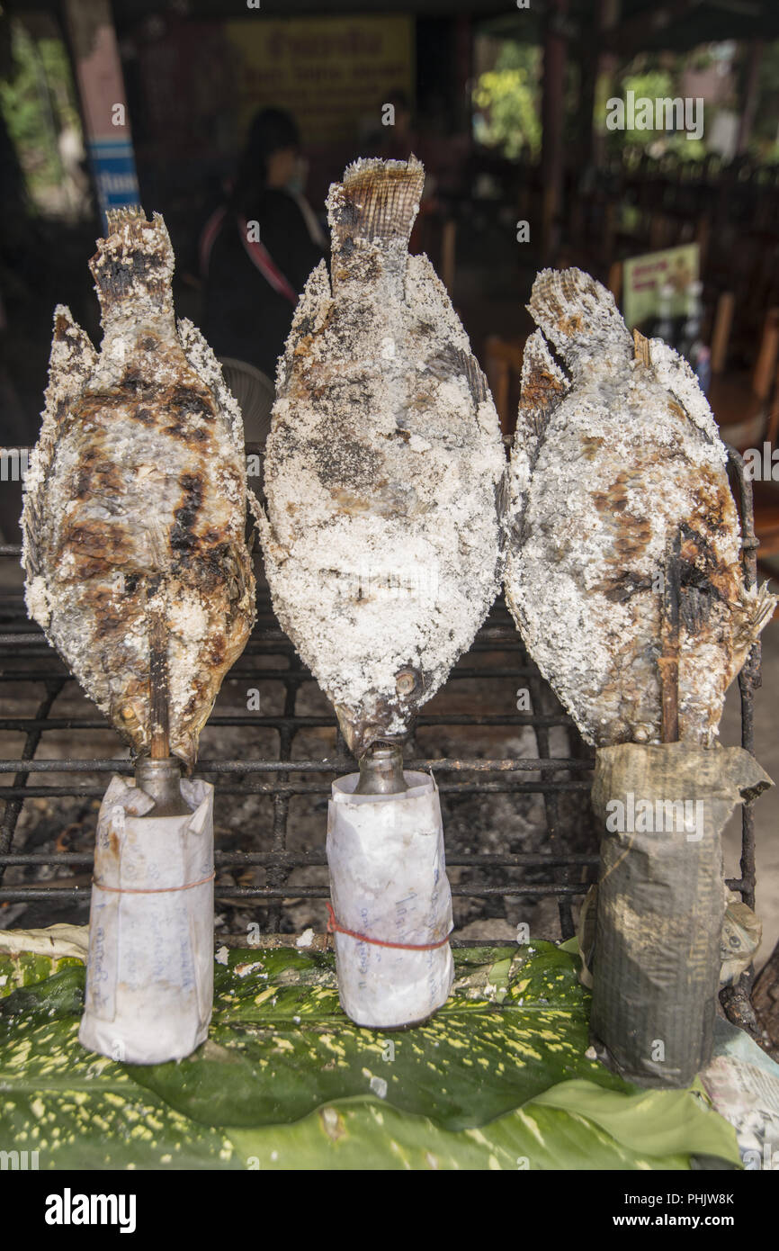 Buri fish hi-res stock photography and images - Alamy