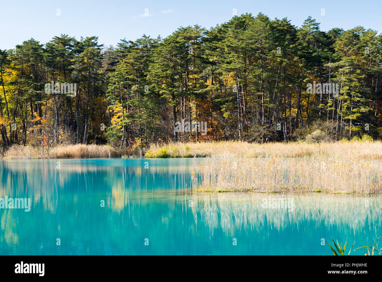 Goshiki-numa Urabandai Fukushima Autumn Japan Stock Photo - Alamy