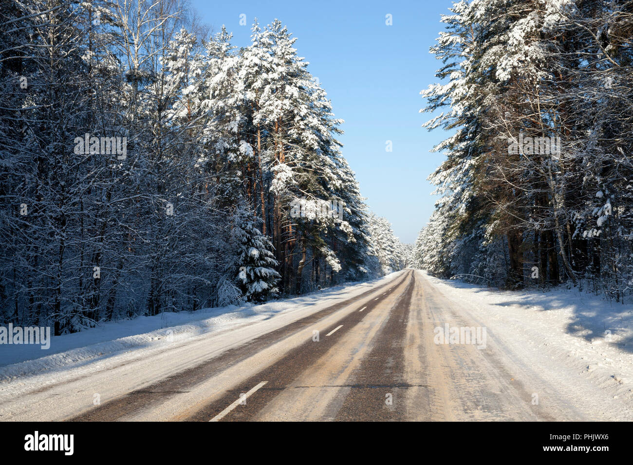 winter landscape of a road built through pine coniferous forest, road ...