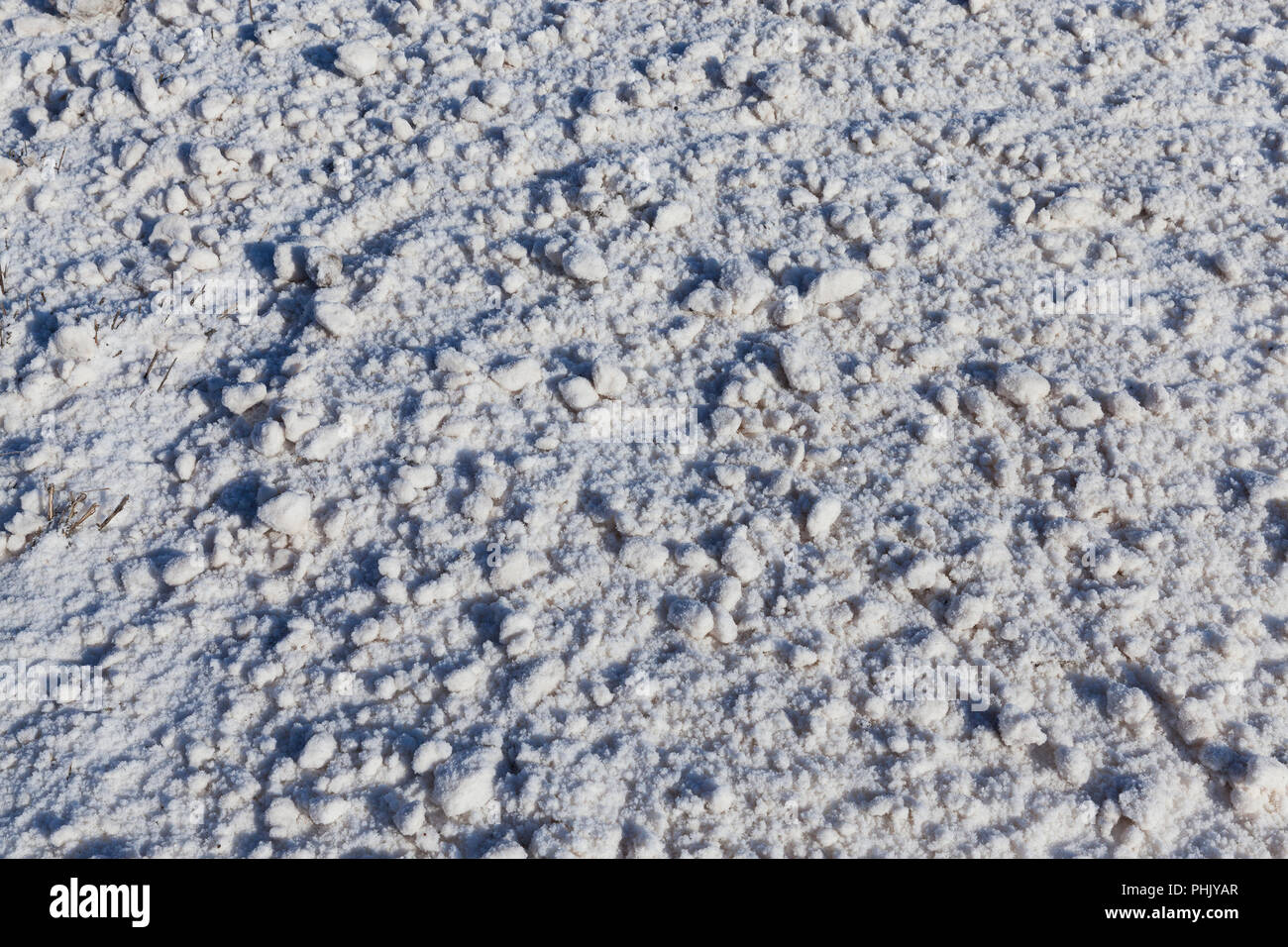 snow photographed in the winter season, which appeared after a snowfall ...