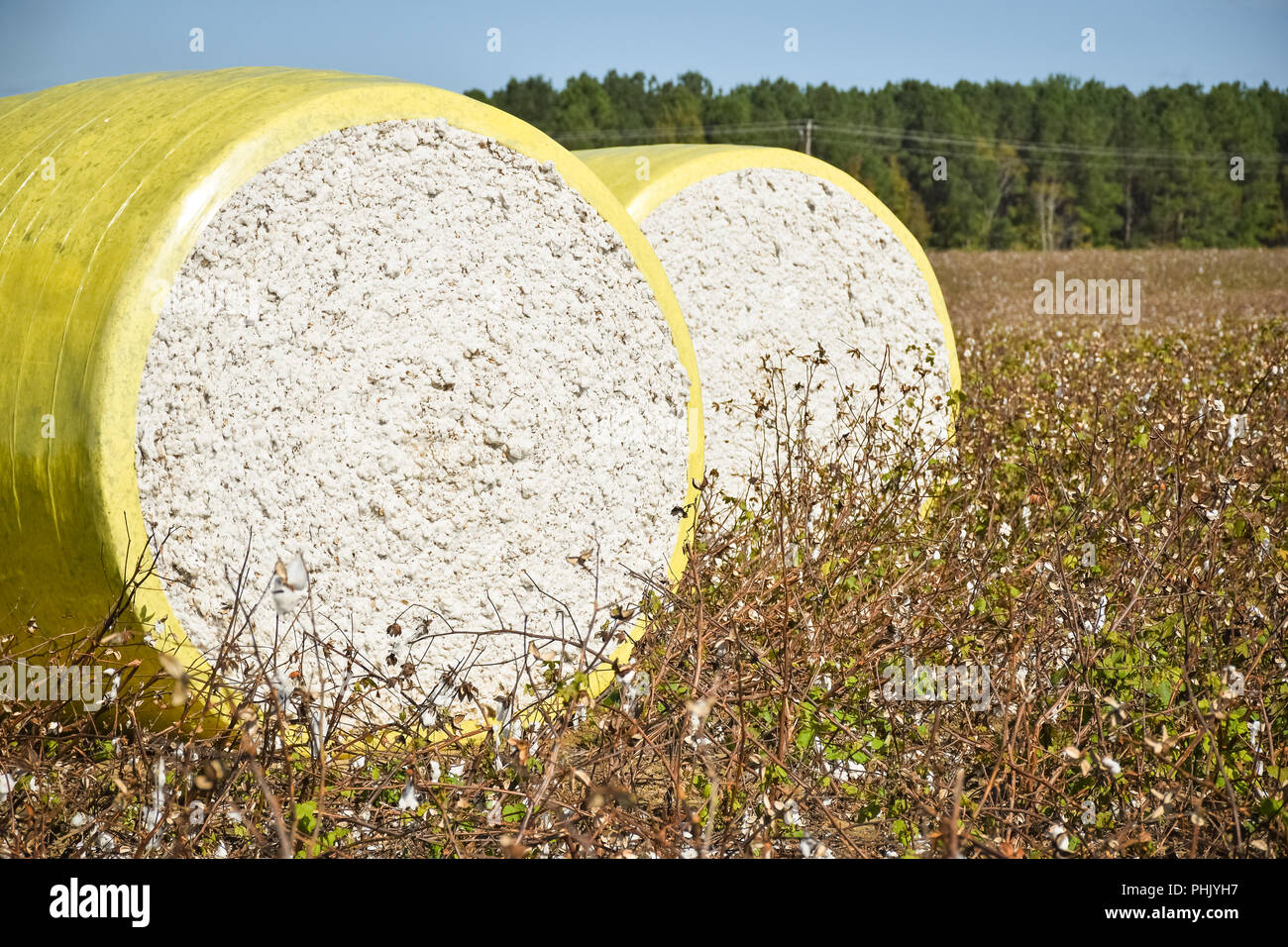 Wrapped bale hi-res stock photography and images - Alamy