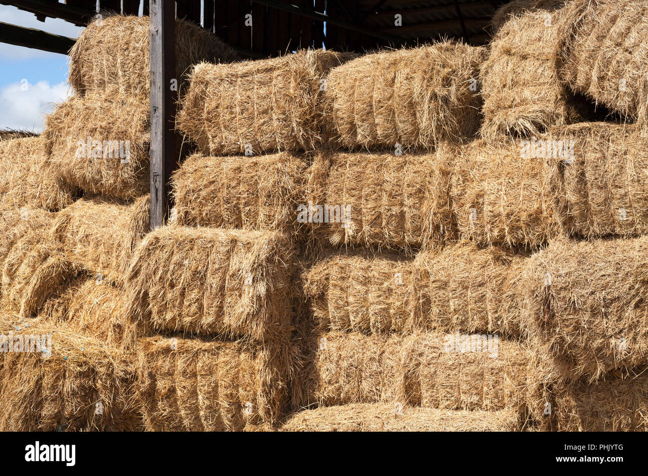 square stacks of straw stacked in a tall pile in the hayloft for ...