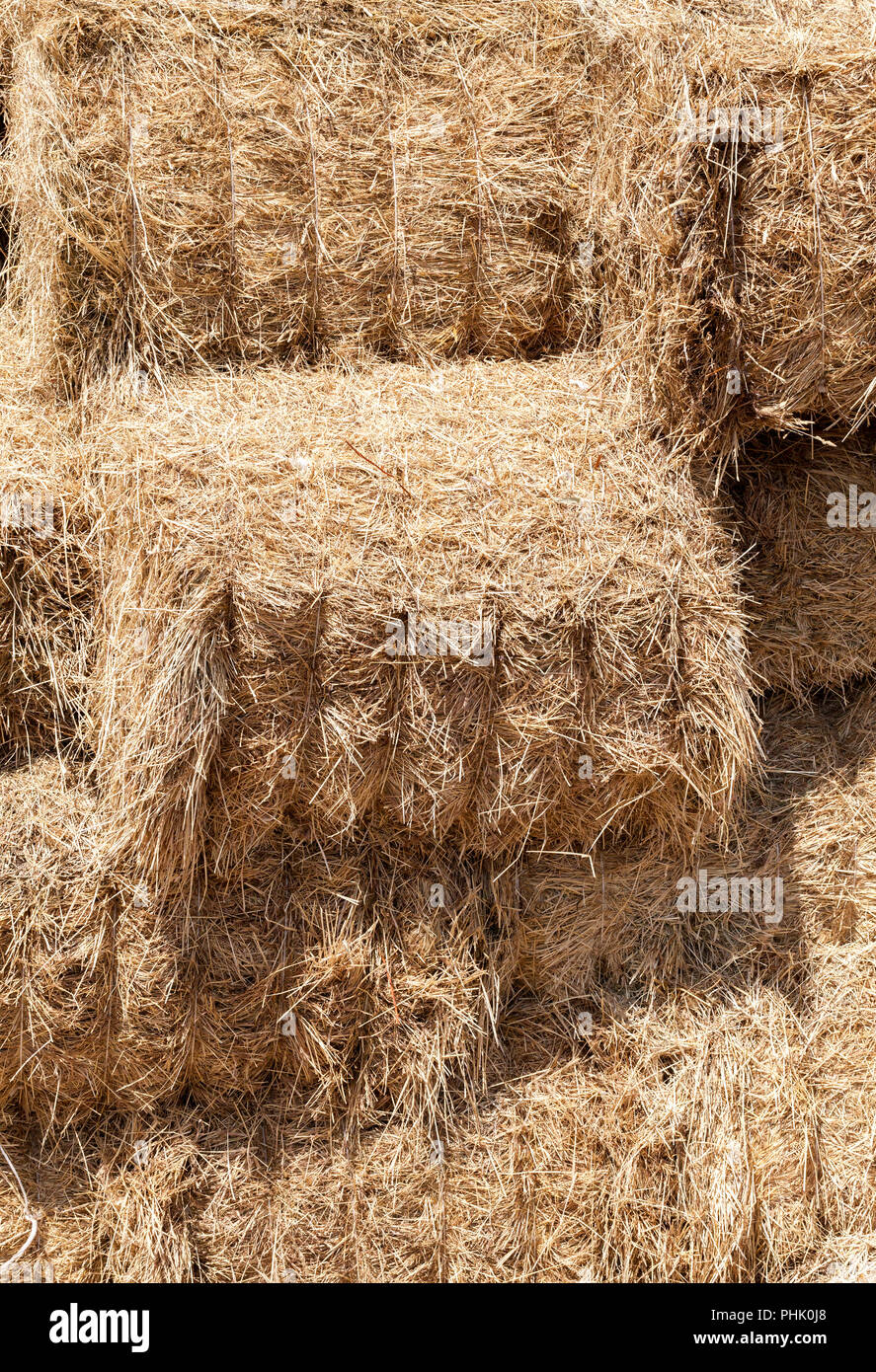 pressed square bales of dry ripe straw straw yellow, folded in rows in ...
