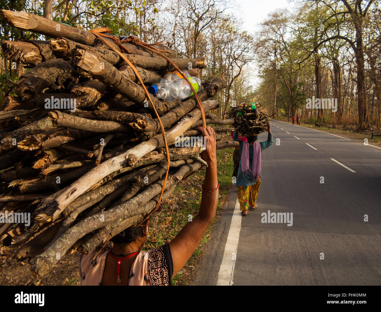 Indian womans carrying firewood on the Kaladhungi-Nainital road ...