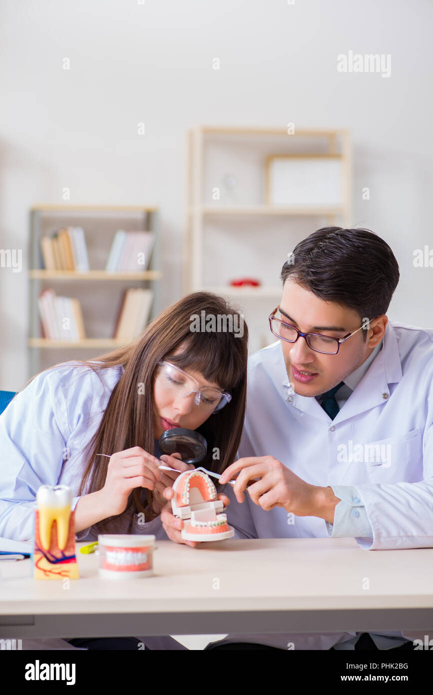 Dentist explaining student tooth structure Stock Photo - Alamy