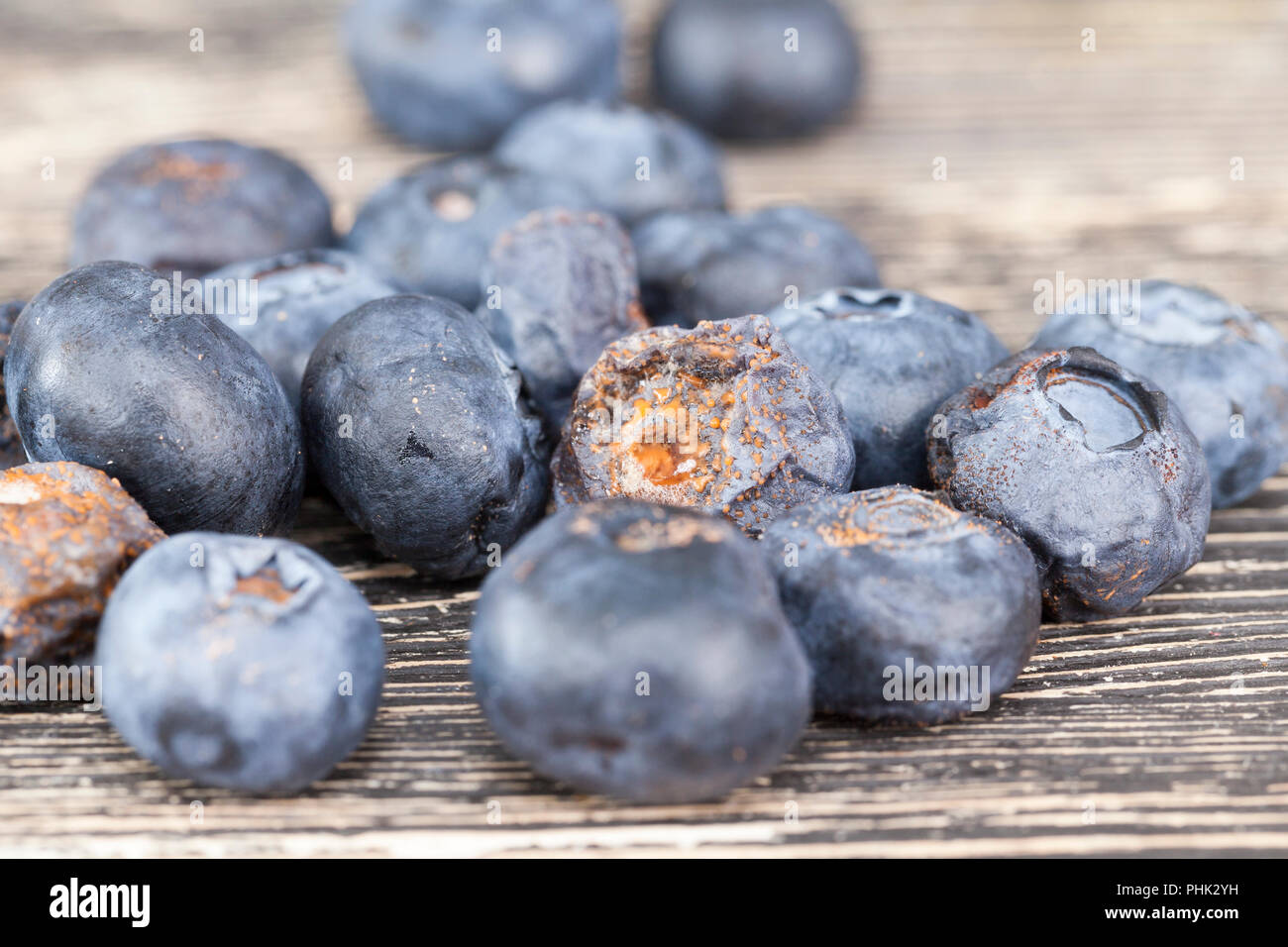 spoiled and mud-covered with mold and fungus blueberries berries ...