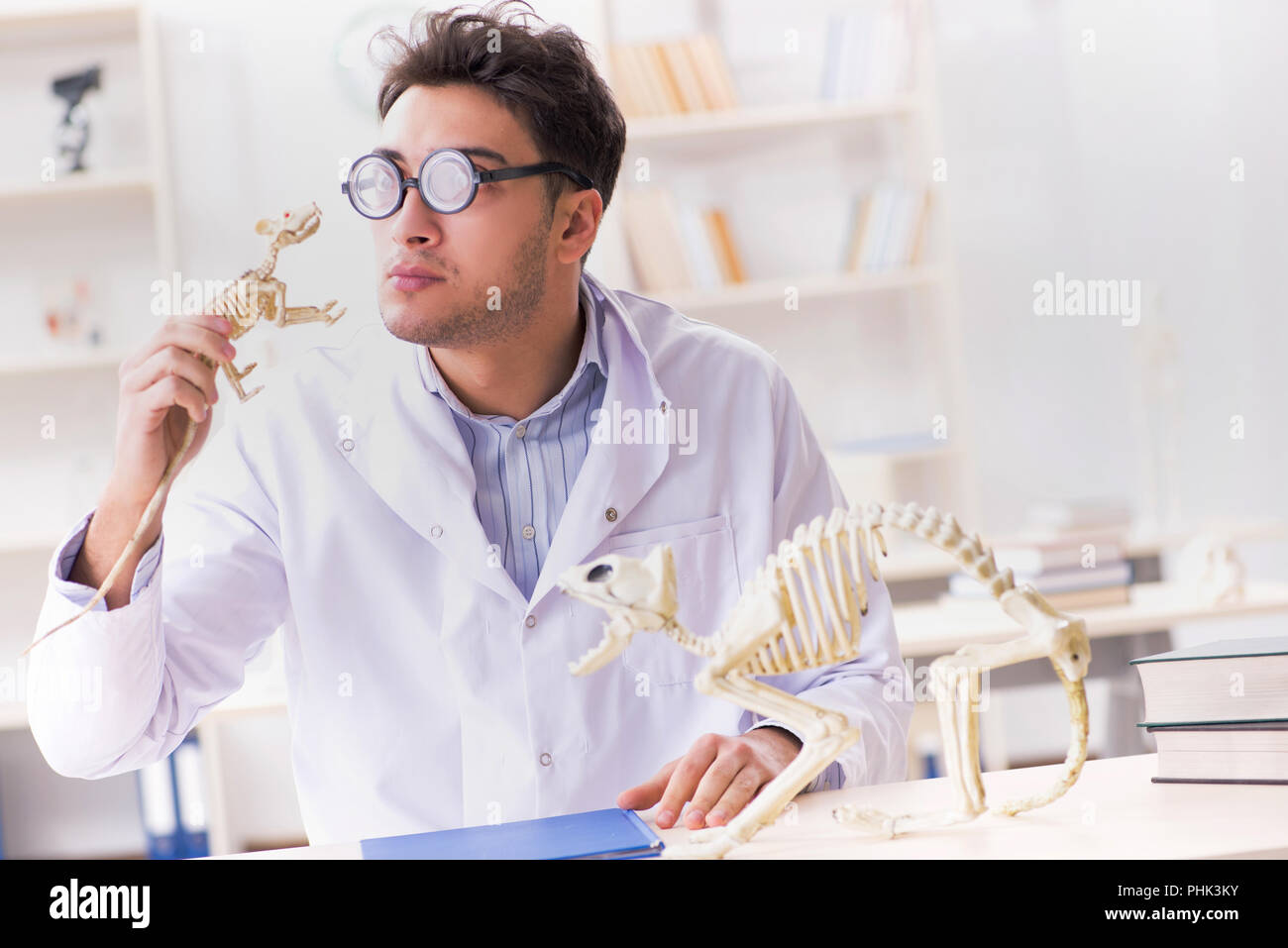 Crazy cat man hi-res stock photography and images - Alamy