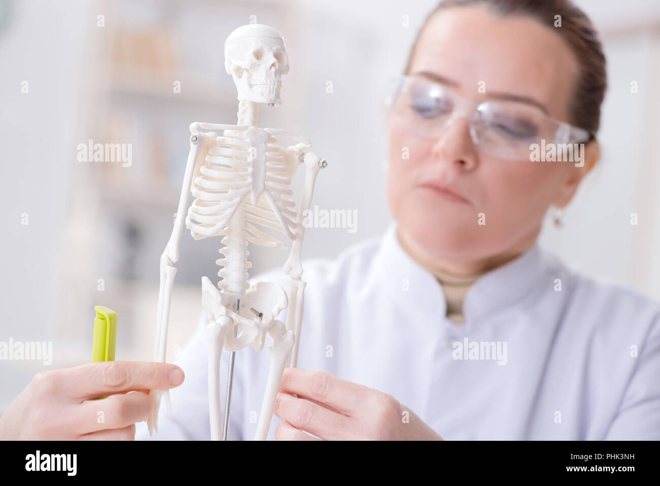 Woman doctor studying human skeleton Stock Photo - Alamy