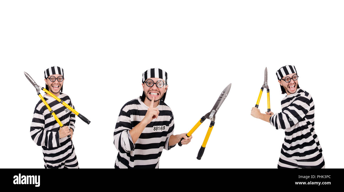 Prison inmate isolated on the white background Stock Photo - Alamy