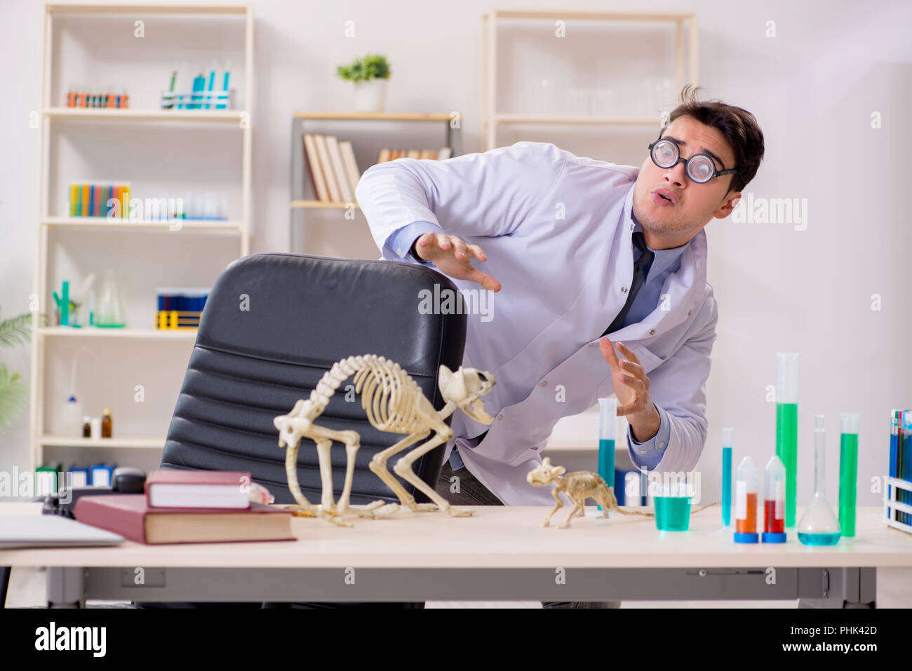 Funny scientist with cat skeleton in lab clinic Stock Photo - Alamy