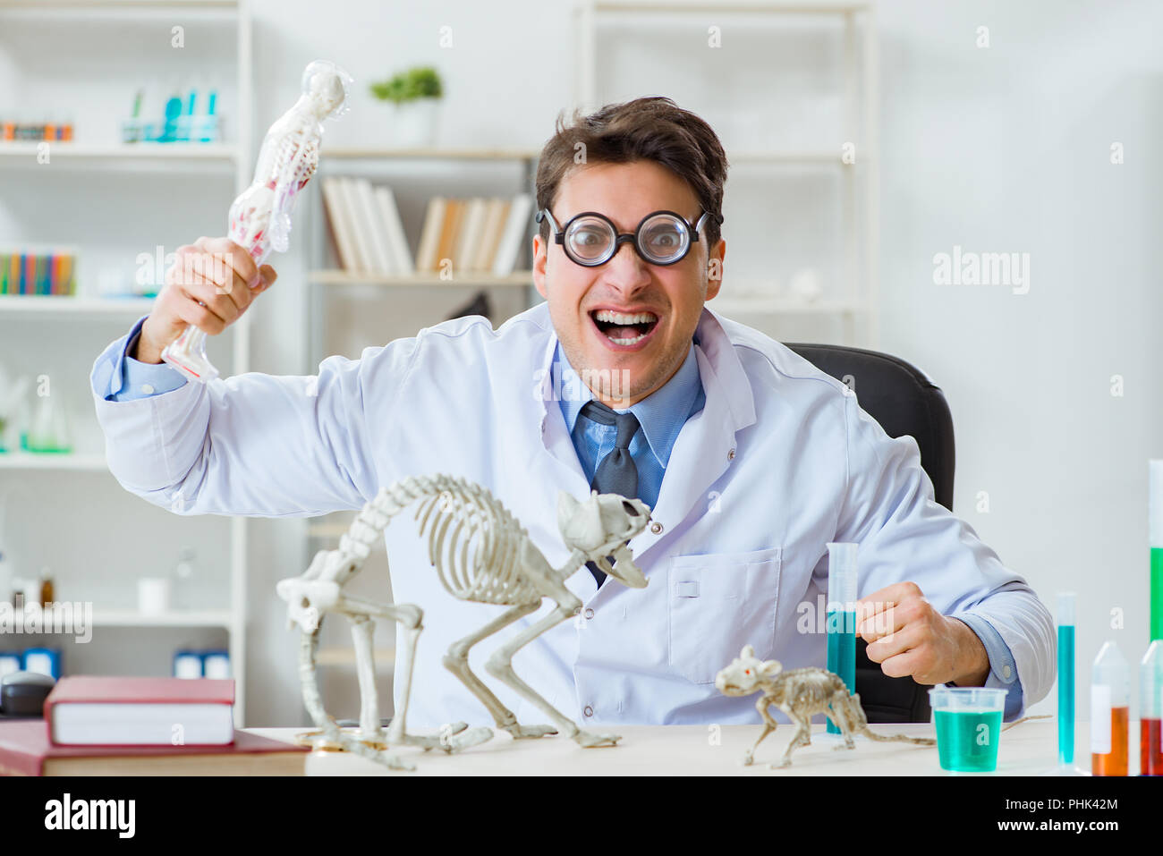 Funny scientist with cat skeleton in lab clinic Stock Photo - Alamy