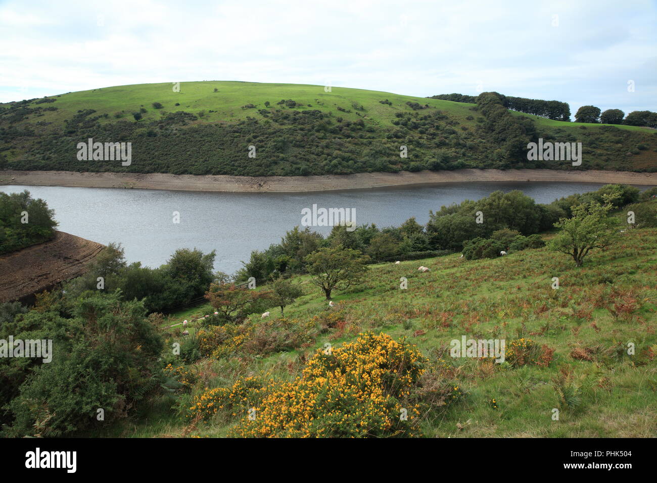 Meldon reservoir, Dartmoor National park, Devon, England, UK Stock ...