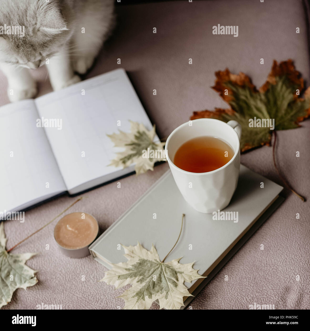 Hygge interior hi-res stock photography and images - Alamy