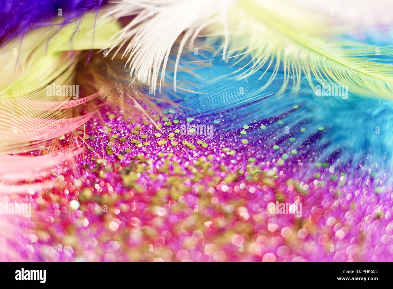 Glitter Feather Photography