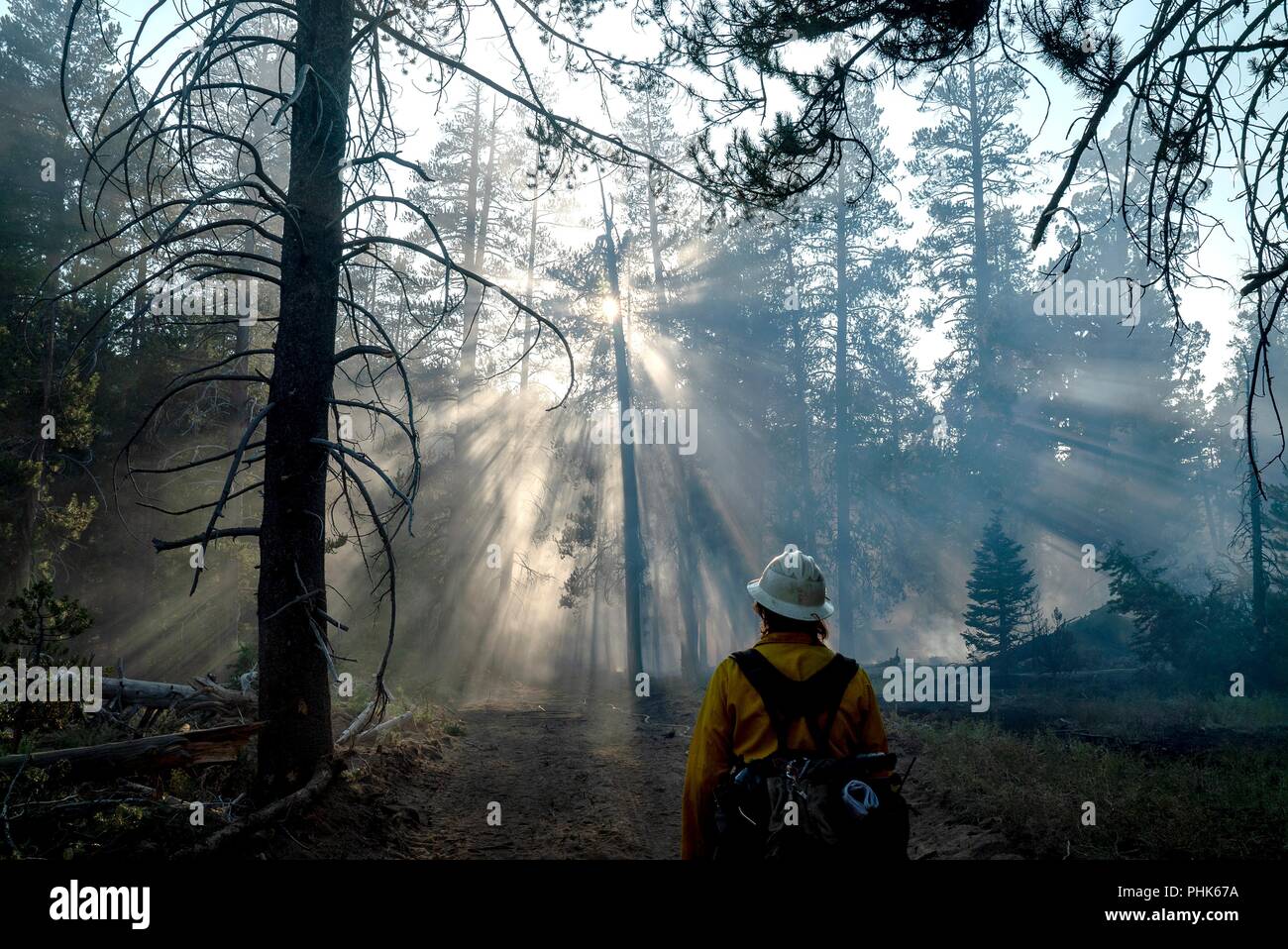 A Cal State firefighter, walks through the smoke and haze following an ...