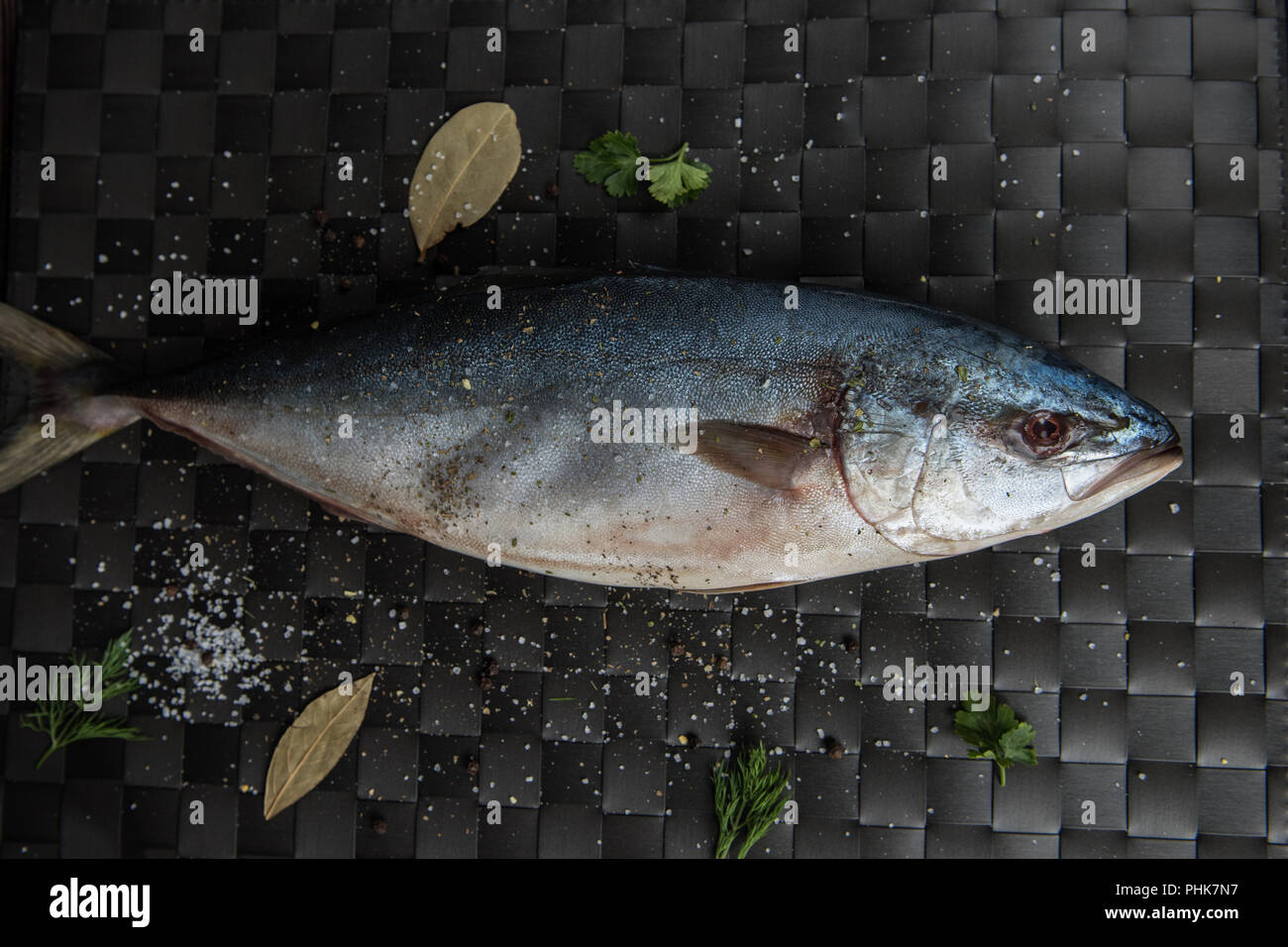 Tuna fresh fish Stock Photo - Alamy