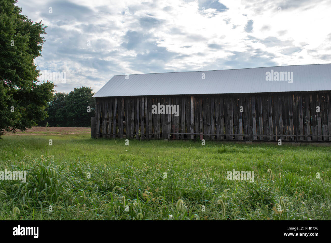 Air Curing High Resolution Stock Photography and Images - Alamy