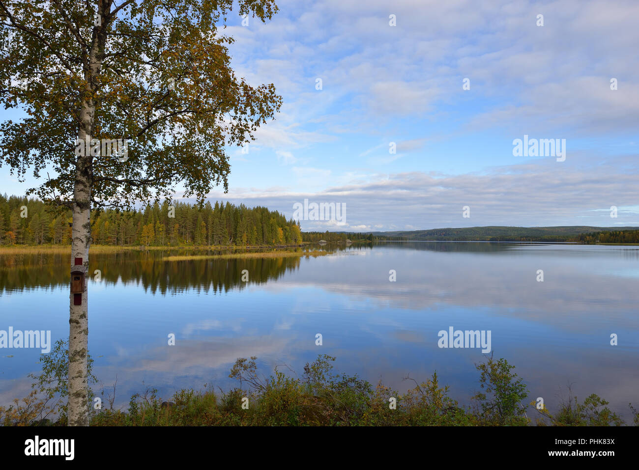 Sweden in fall Stock Photo - Alamy