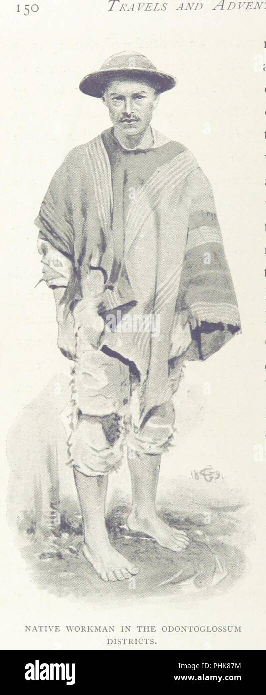 The adventures of an orchid hunter hi-res stock photography and images ...