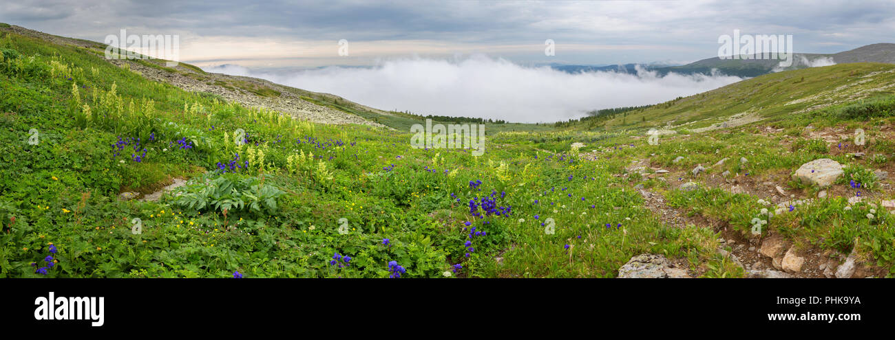 Altai krai hi-res stock photography and images - Alamy