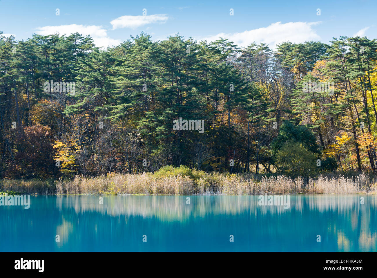 Goshiki-numa Urabandai Fukushima Autumn Japan Stock Photo - Alamy