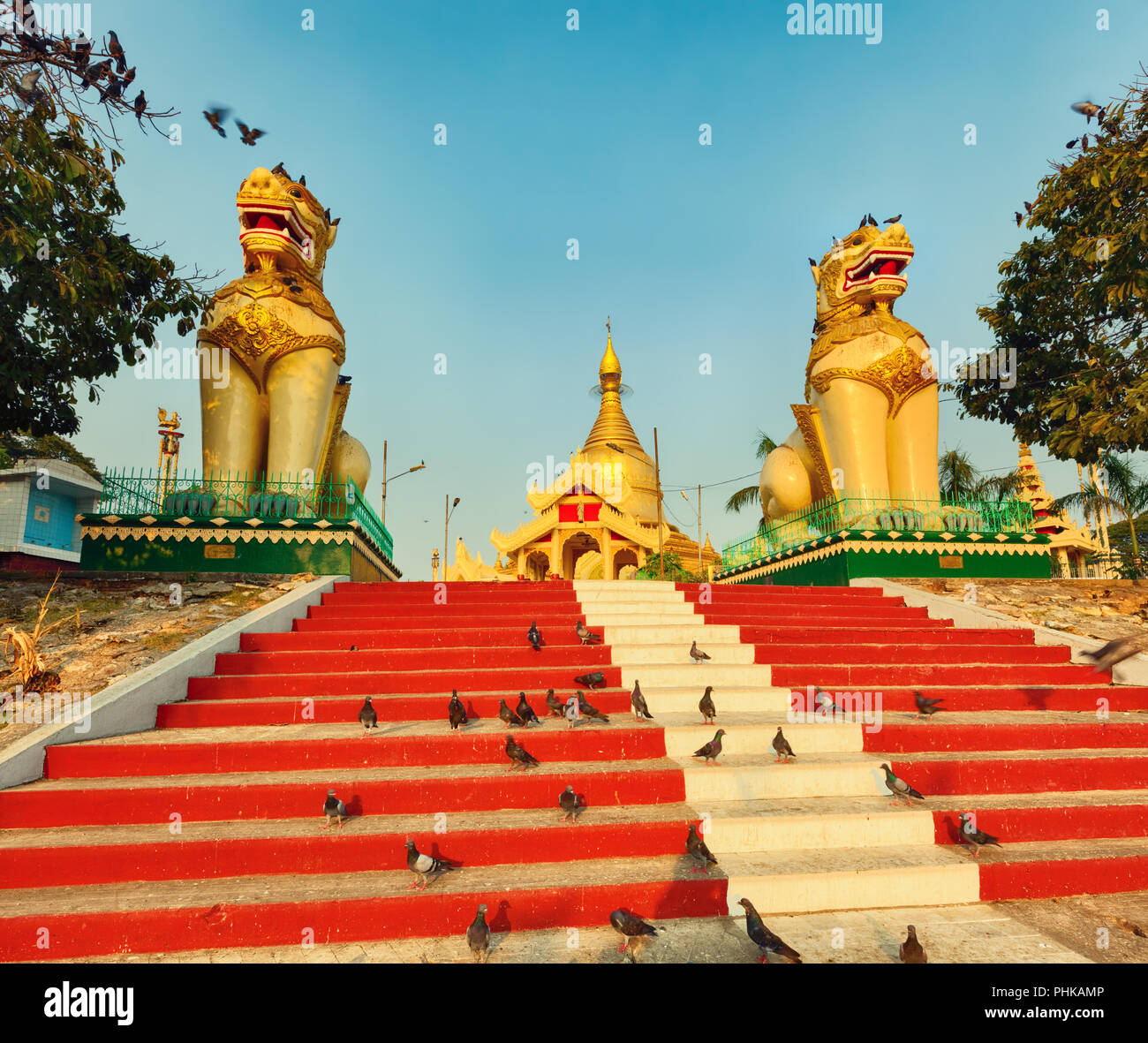 Birds of maha hi-res stock photography and images - Alamy