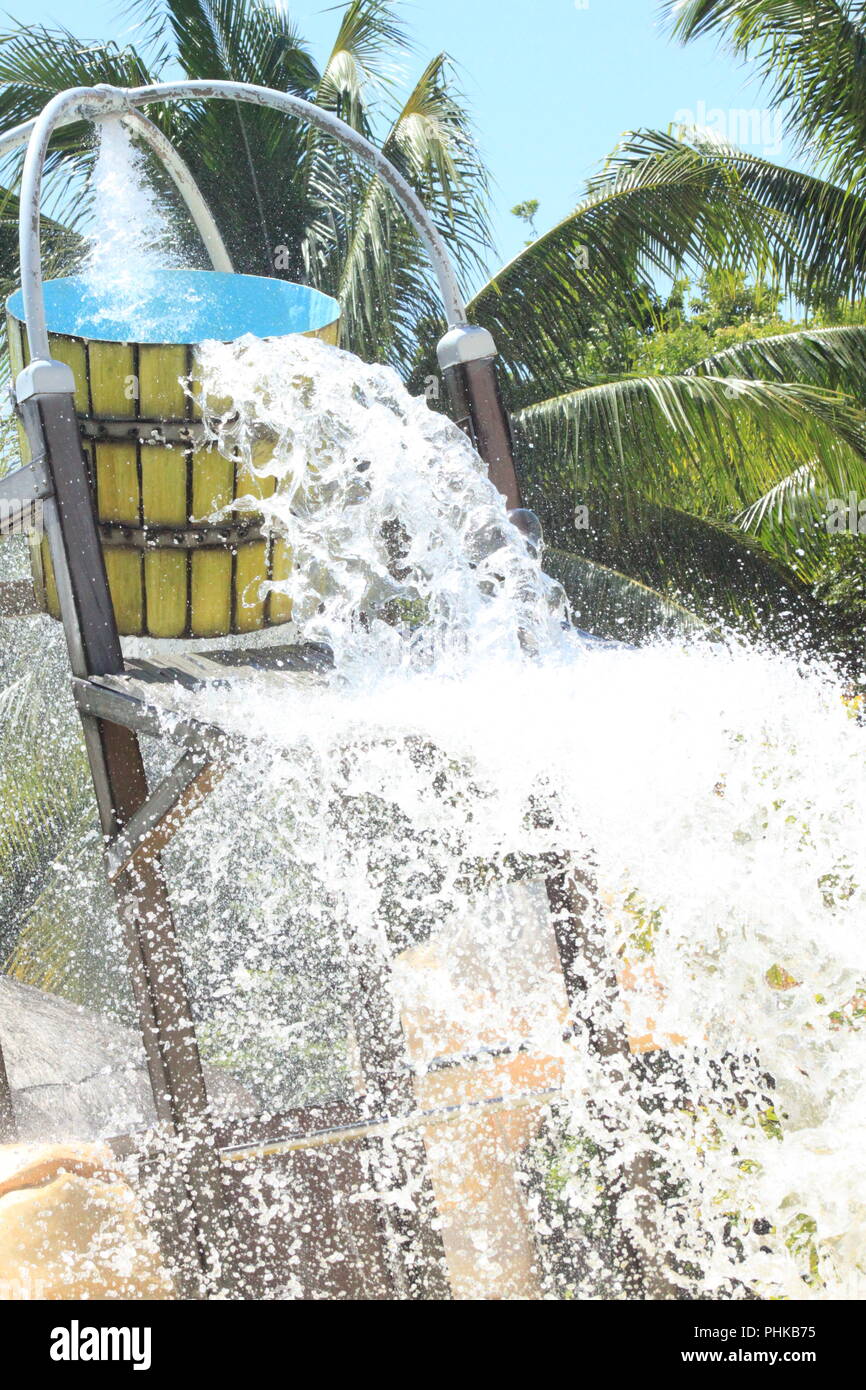 Botanical source hi-res stock photography and images - Alamy